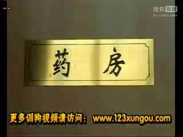 如何训练狗狗大小便