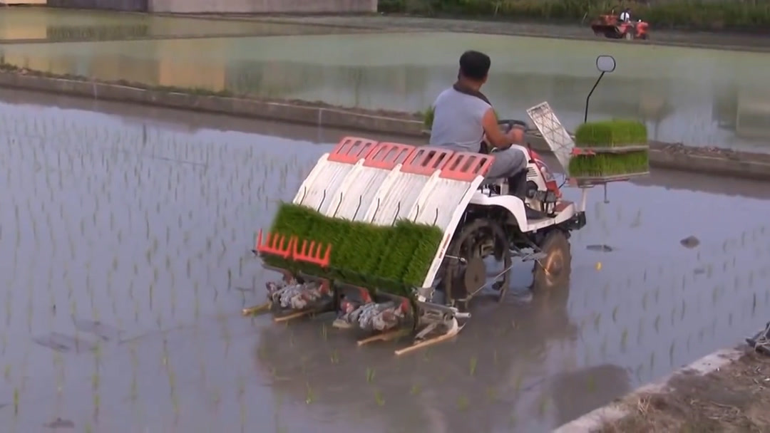 民间老大爷发明水稻种植机,一个小时可插秧5亩地,农民好帮手