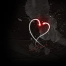 奔跑中的小乌龟仔 