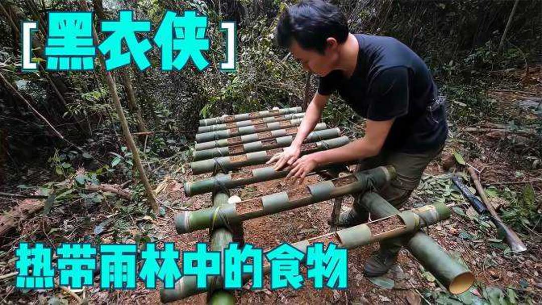 热带雨林中这些植物都是可以吃的,你知道吗