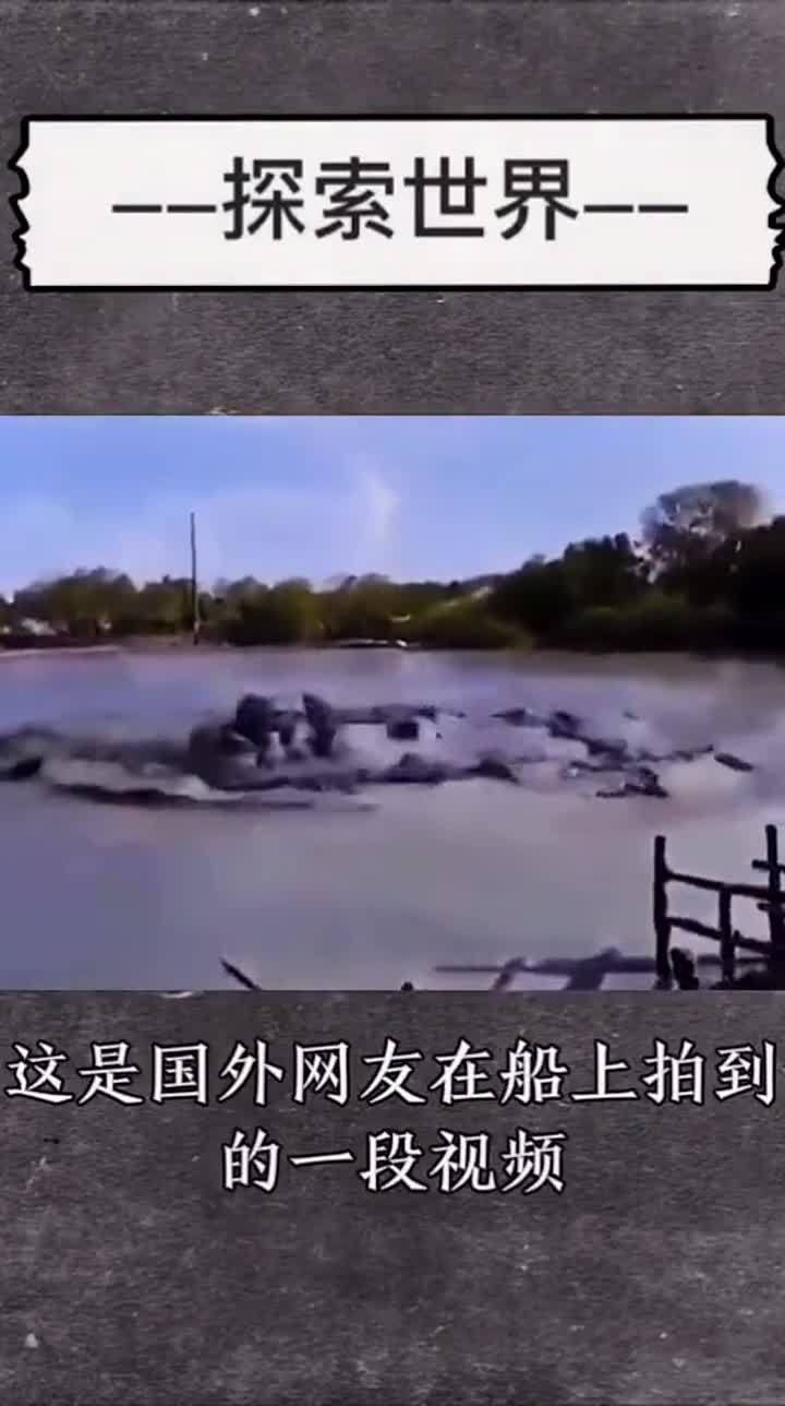 拍到的罕见一幕,你看清楚了吗