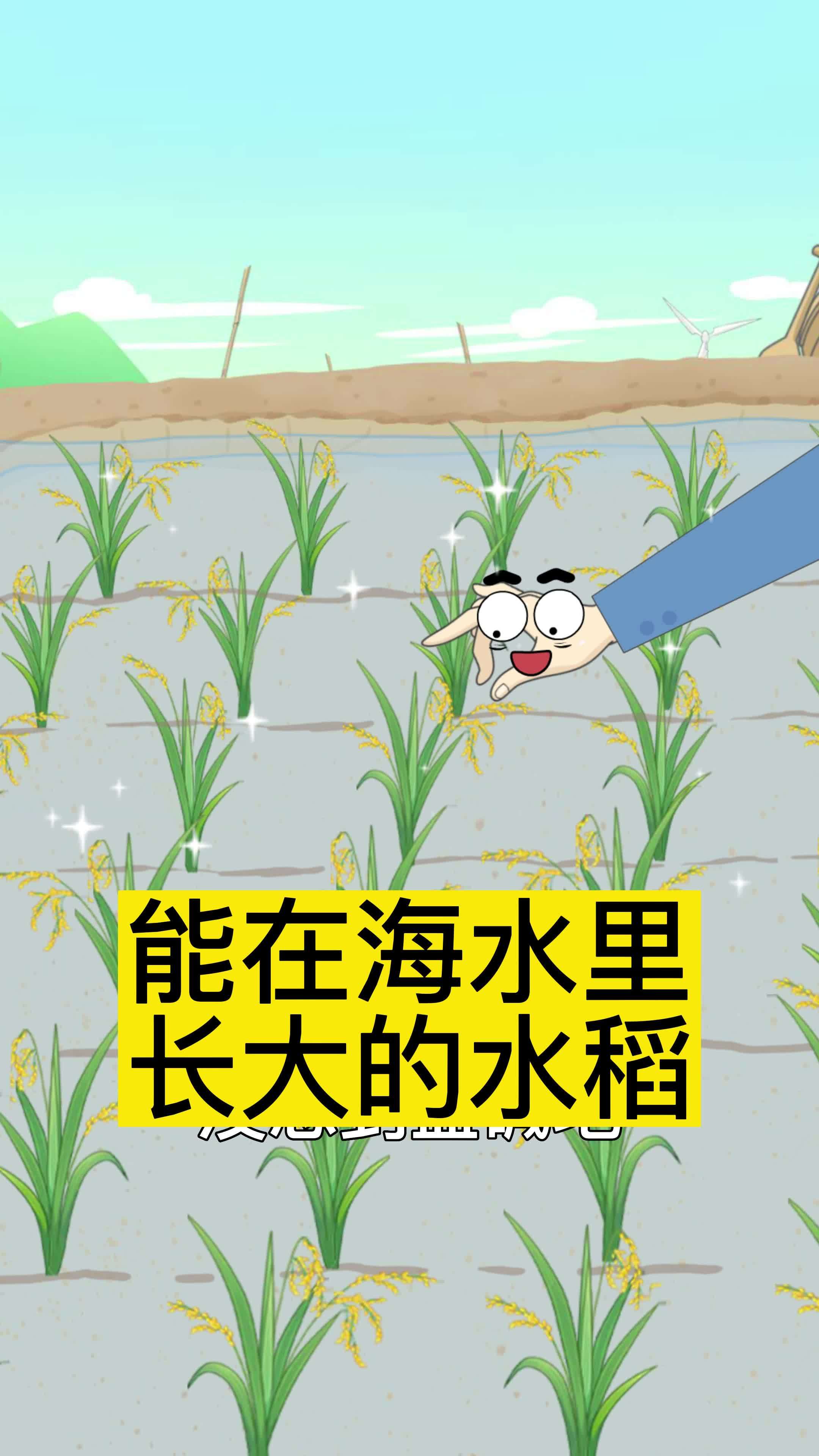 能在海水里长大的水稻三农新农人计划乡村守护人轻漫计划原创动画.