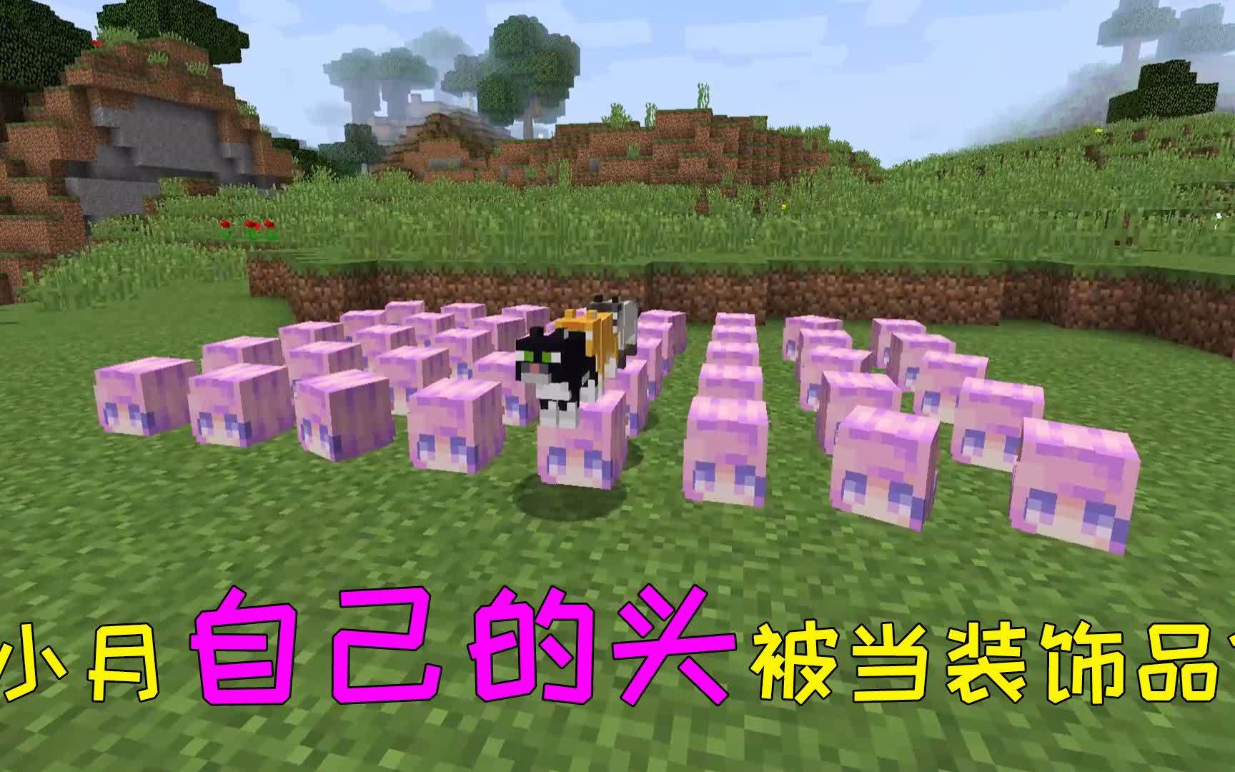 我的世界mod:小月的头被当做装饰品?还被摆成了神秘矩阵!
