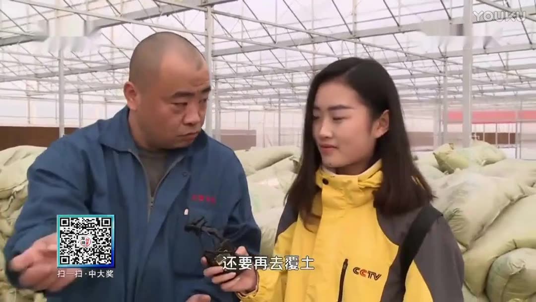 我爱发明穴盘操盘手-蔬菜穴盘播种机 蔬菜育苗播种机