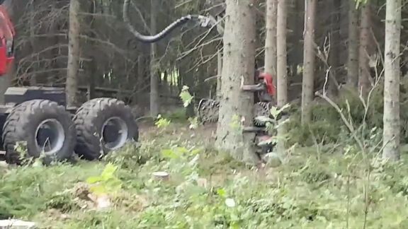 德国新型伐树机,砍伐处理树枝轻松搞定,从未有过的伐树新体验