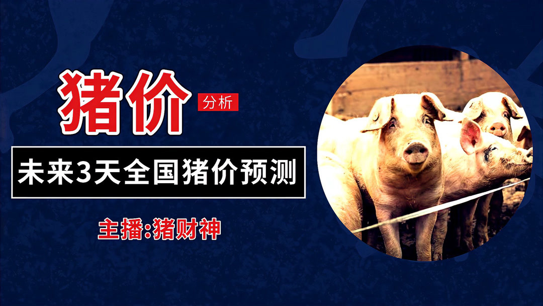 2月中旬!春节期间:全国猪价大预测!要跌破10元?