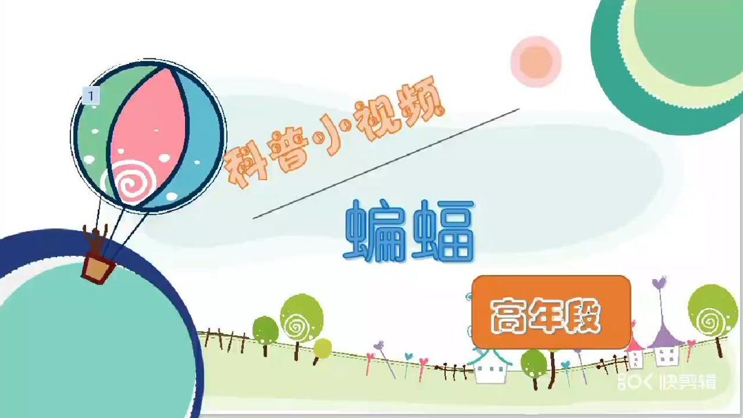 钟楼区小学科学高年级科普视频《蝙蝠》