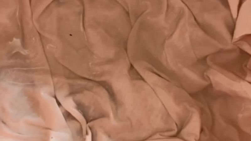 白色衣服爱变黄别扔了,照这样做