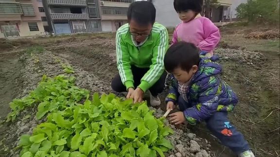 锻炼孩子精细动作和手眼协调的感统游戏,户外感统游戏#幼儿感统训练...