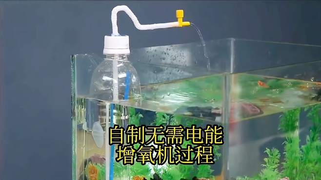 不需要电的增氧机,制作很简单,太有创意了!