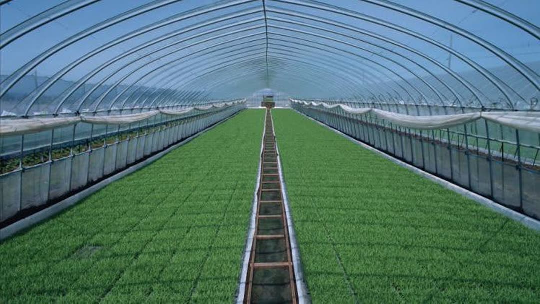 某智能温室厂家宣传片太震撼了,全是农业高科技