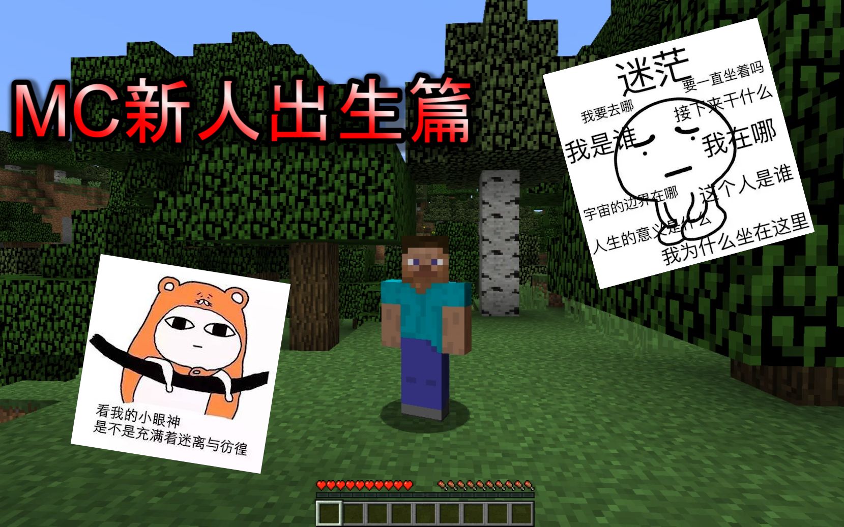 MC我的世界:新手生存奇葩死法第一天,看看有什么样的神操作?