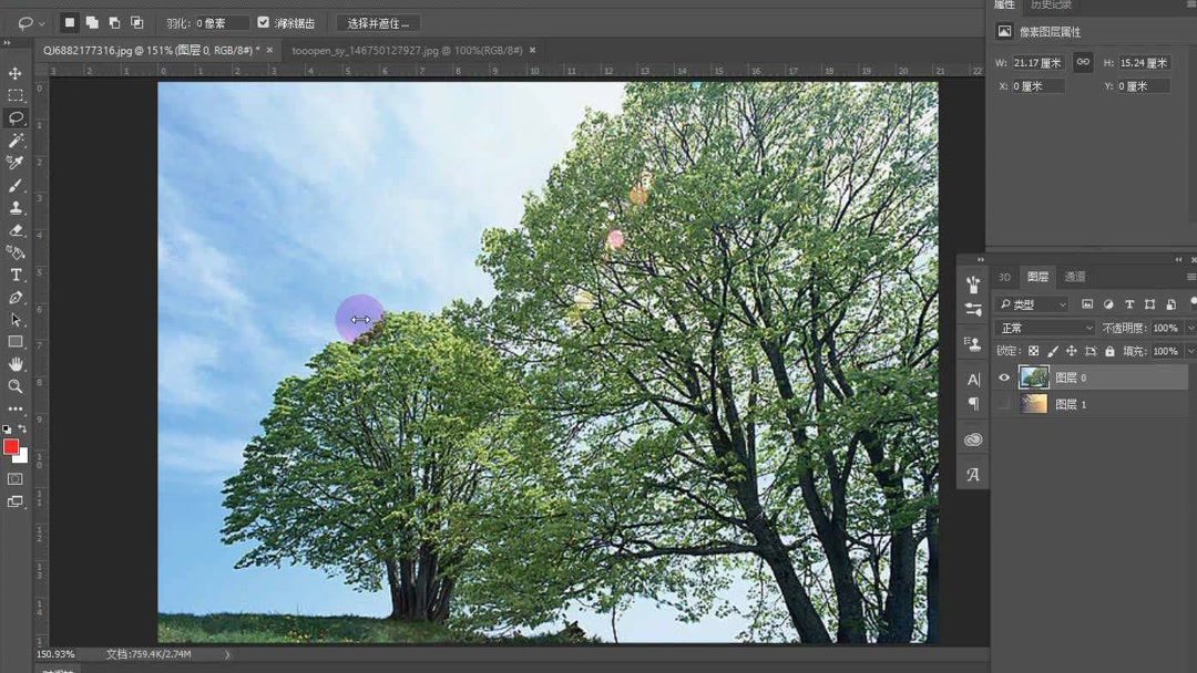 PS一秒抠图,抠取树叶小技巧