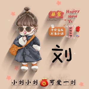 小刘要努力k 