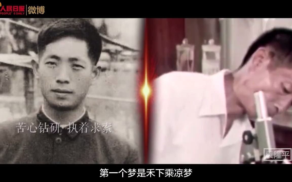 青春的模样