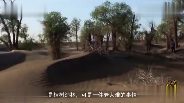 中国发明最新种植法,沙漠秒变森林,效率提高10倍