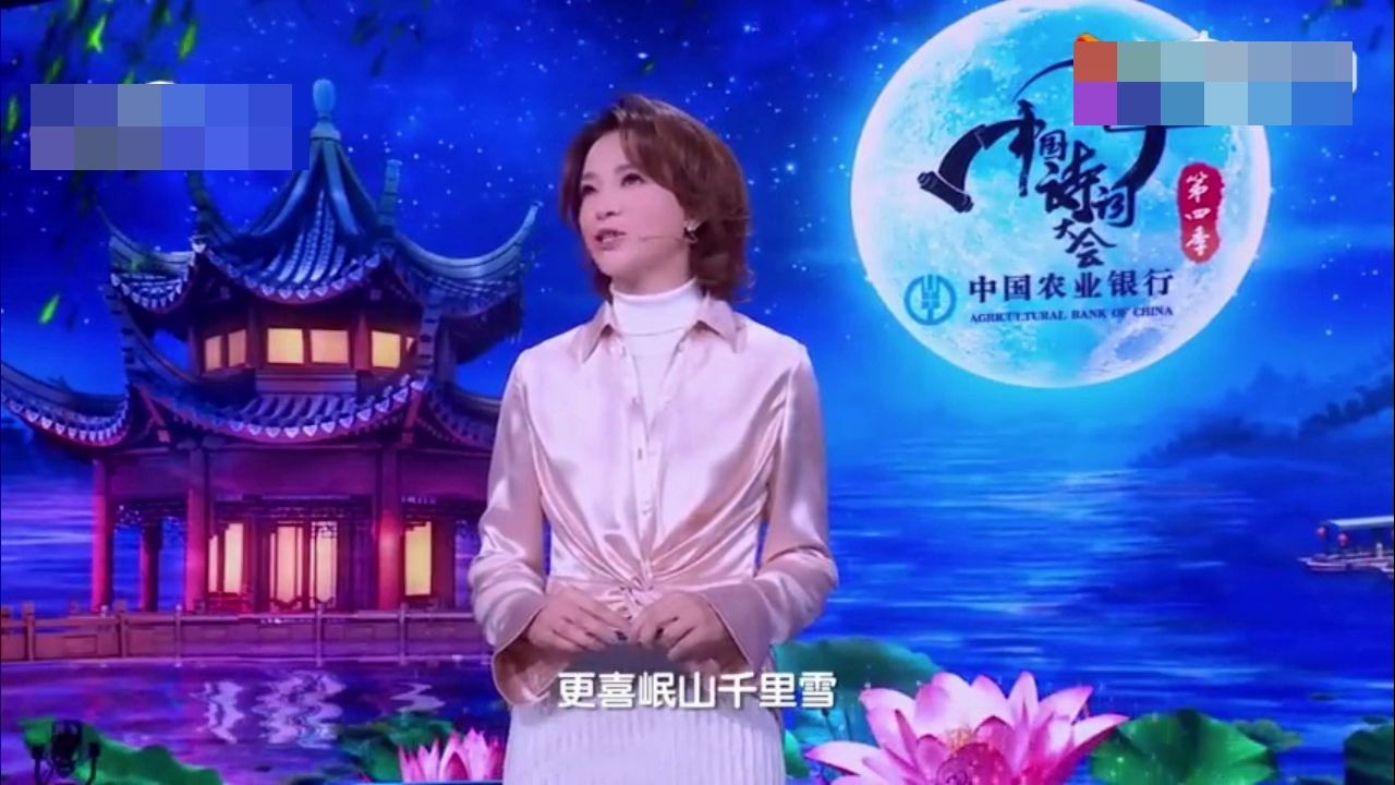 《中国诗词大会》董卿开场诗真是气势磅礴啊!