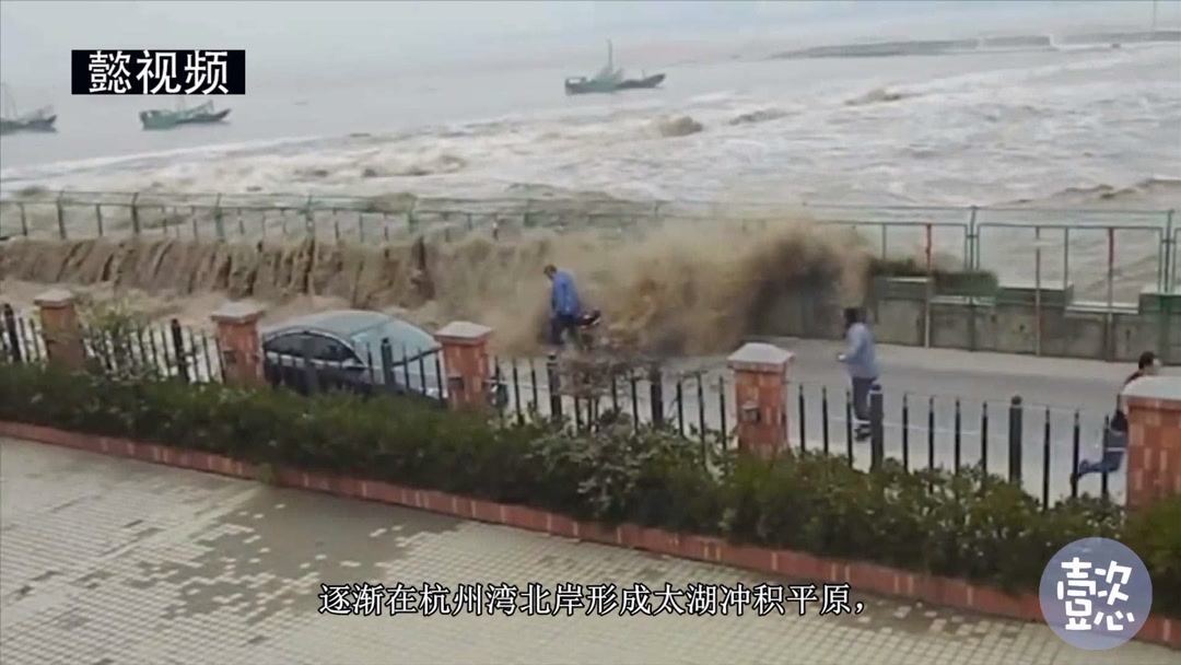 观江虚谨慎,游客们被钱塘江的浪潮冲走,要去游玩的要注意安全哦