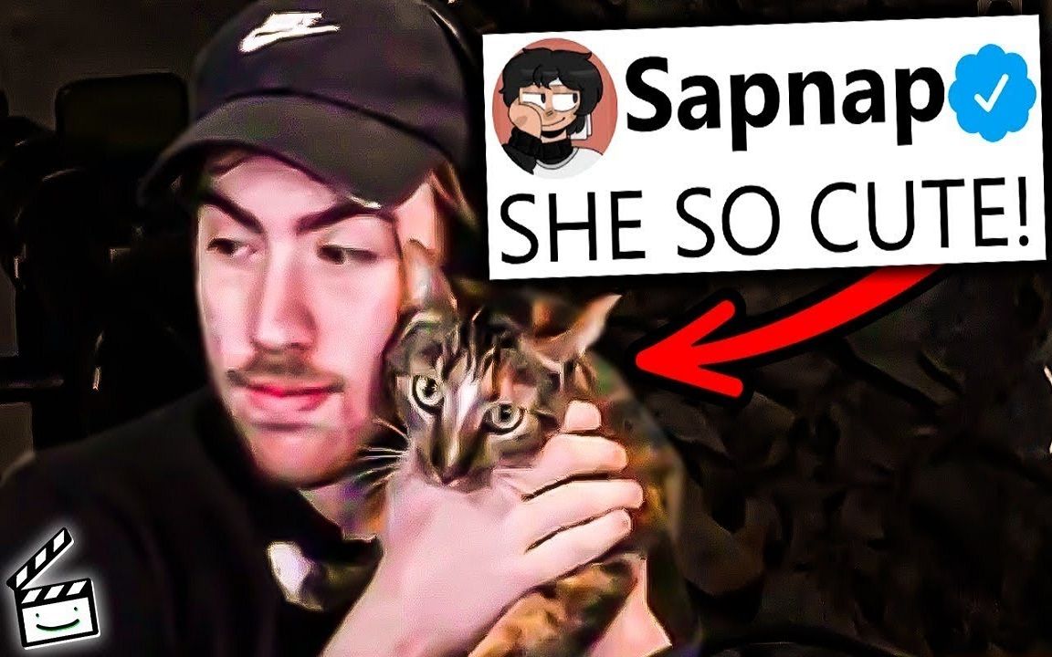 【DreamSMP/片段/中文字幕】Sapnap把Dream的猫带到直播里了