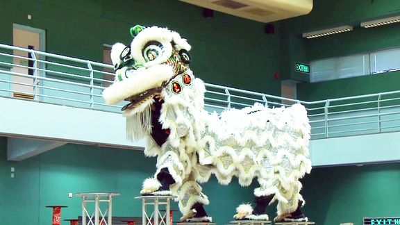 舞狮比赛表演视频,专业舞狮欣赏