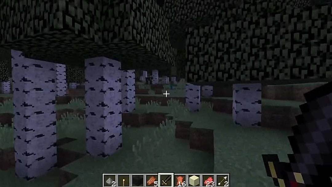 我的世界!夜晚的白桦林居然是这样的!