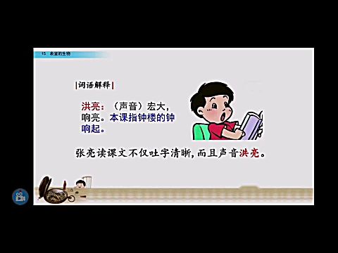 16课《表里的生物》第一课时