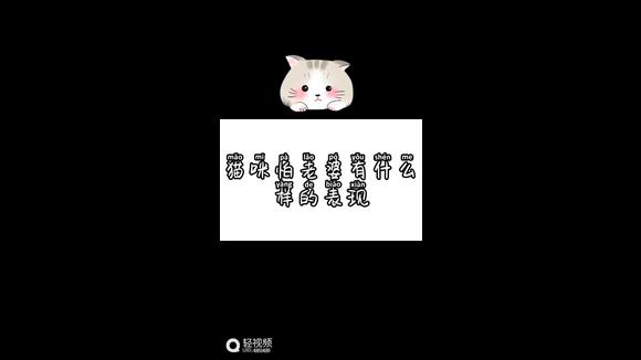 猫咪怕老婆有什么表现?