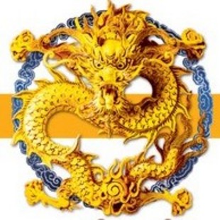 真龙天子-龙华电器 