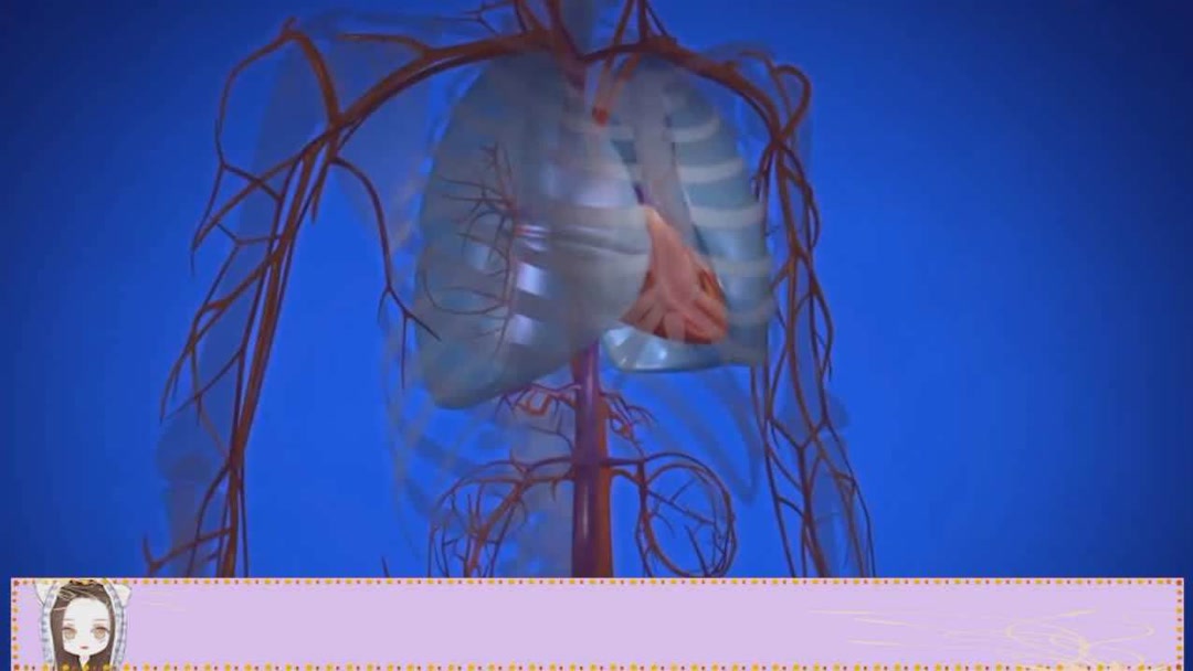 3D打印新技术,竟能打印人的心脏,有望变革器官移植