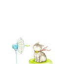 对面那床红棉被 