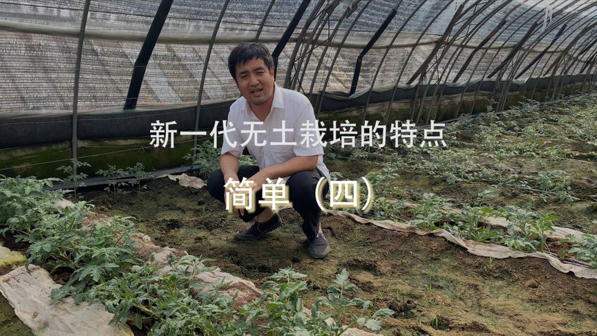 新一代无土栽培的特点,简单(四)
