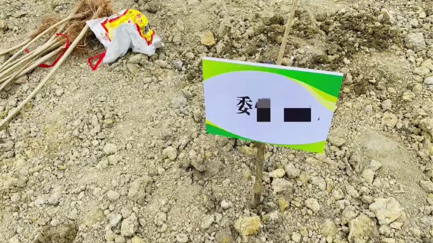 #记录生活中的小美好 #户外活动 植树