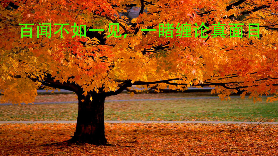 缠中说禅:百闻不如一见,一睹缠论真面目,走势的递归和非递归