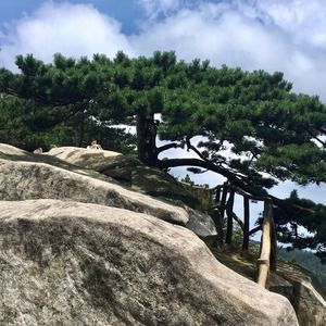 法制云播报