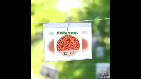 七木枕的枕芯.真材实料[玫瑰]让您用的放心[爱心]安心[爱心]
