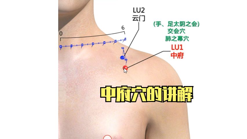孔旭医师讲中医点穴:中府穴的定位、解剖和作用
