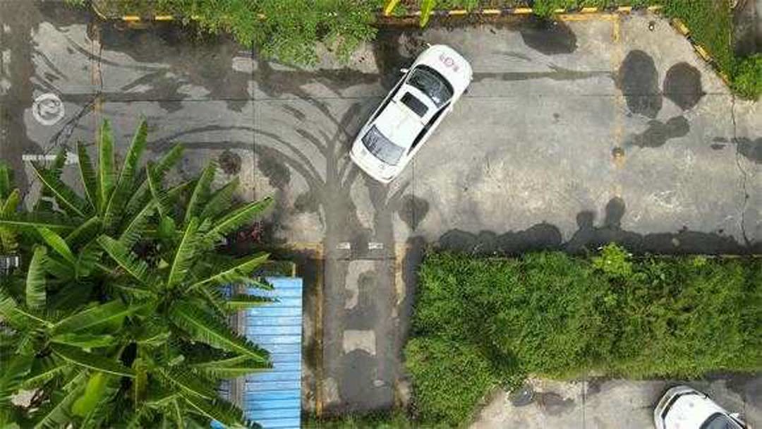 科目二模拟考试小姐姐这技术练的咋样