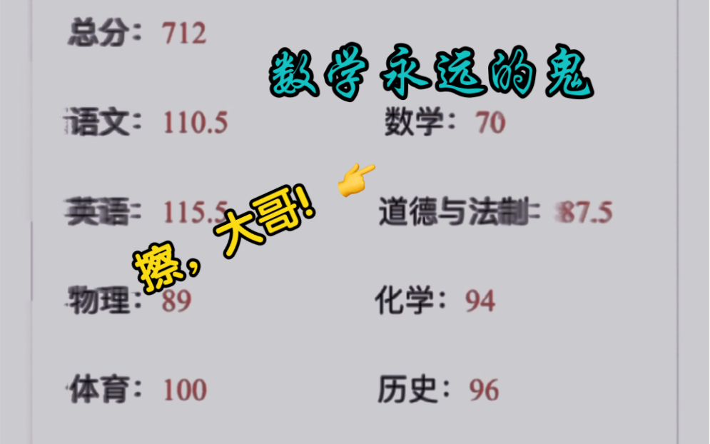 《广东中考查分实录》(已进厂)