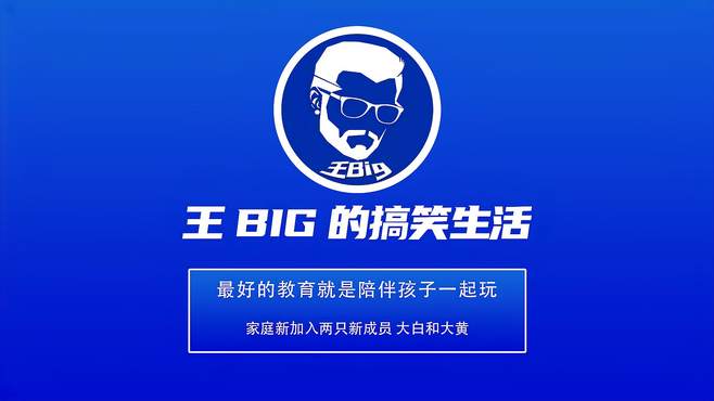 家庭短剧 两只小仓鼠加入大家庭 废物利用把纸盒做成仓鼠的新房