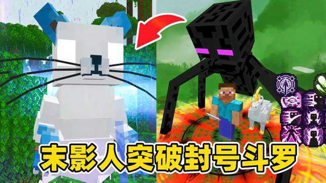 我的世界斗罗生存50:末影人突破封号斗罗,击败百万年白猫!