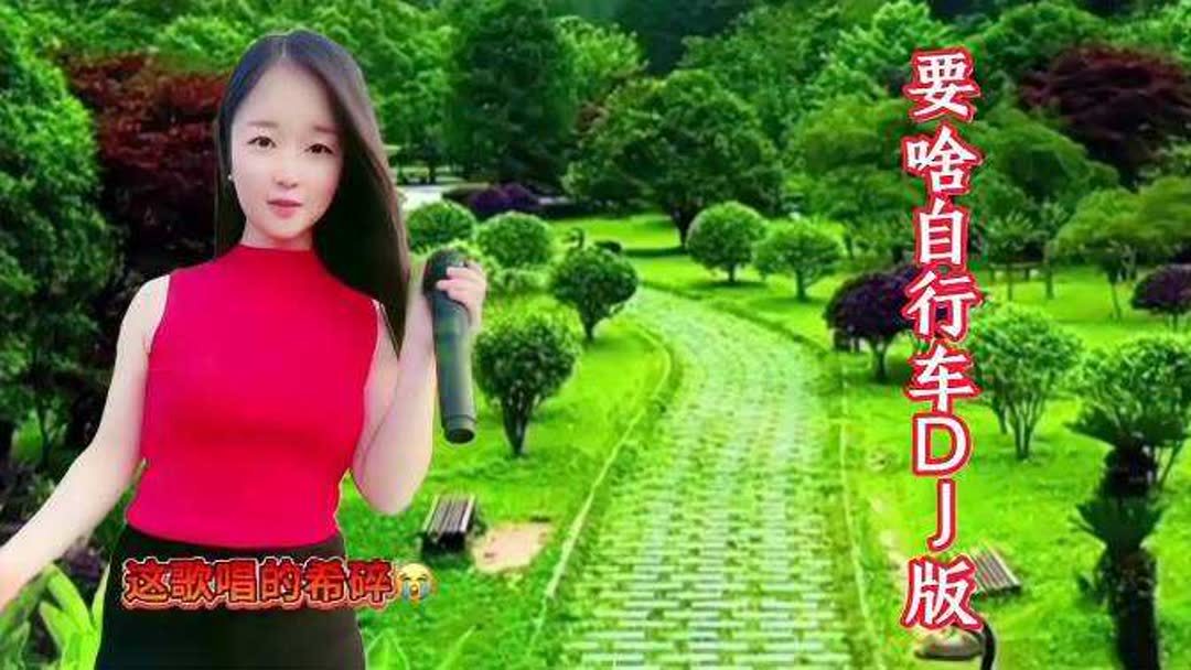 一首动感DJ歌曲《要啥自行车》,歌声动听,唱得很现实