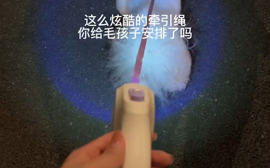 这么炫酷的发光牵引绳 ,你们给毛孩子安排了吗?