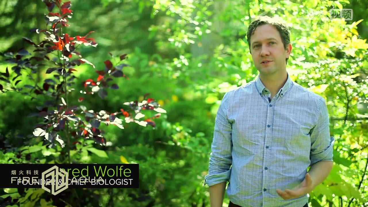 ...认知的《Biopod智能雨林缸》动物 植物 真的什么都能养-烟火科技出品