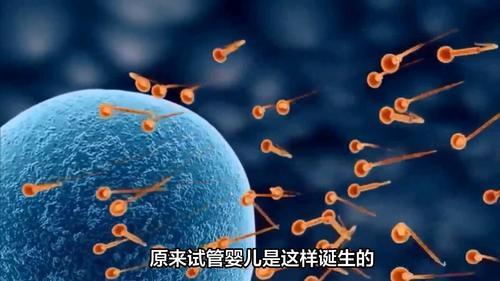 原先试管婴儿是这样诞生的感叹生命的神奇试管备孕 科学科普