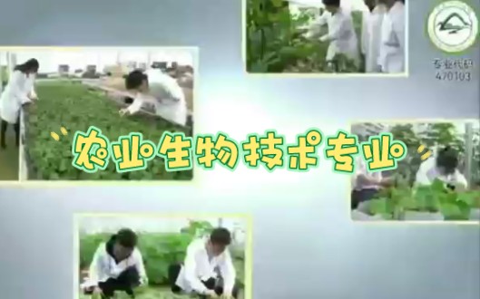 我的专业-农业生物技术(理学类)上山下地做实验