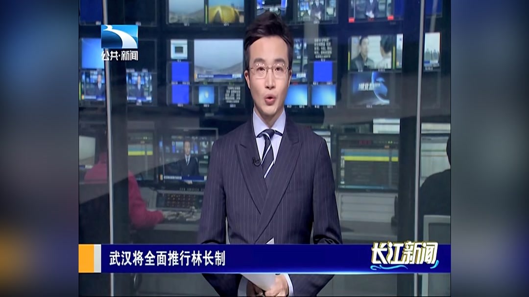 武汉将全面推行林长制
