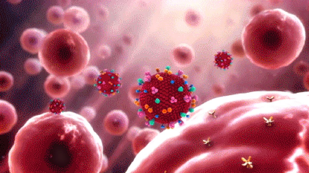 新冠病毒在全球变异成3种毒株!专家警告正快速突变