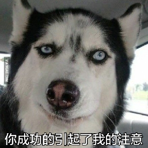 早晚遇见马甲线 