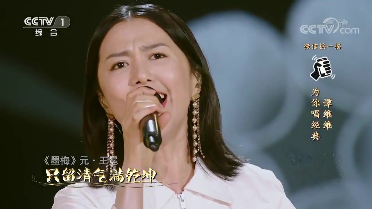 [经典咏流传纯享版]《墨梅》演唱:谭维维