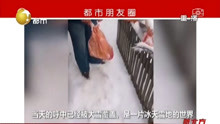 中国最冷小镇开启“冰箱模式” 居民鸡肉雪里保鲜